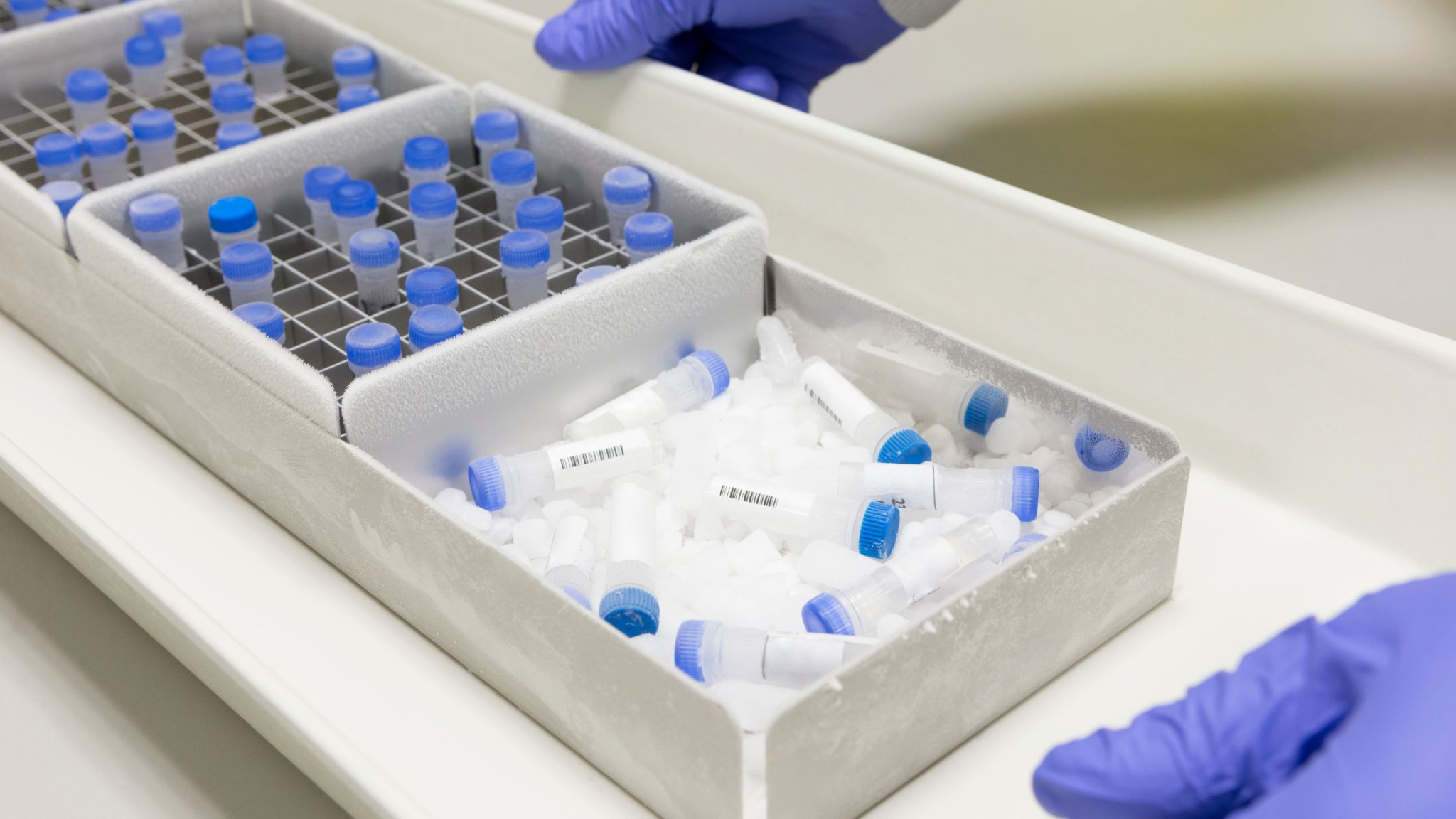 Medical Device Kitting and Logistics Solutions | BioTouch